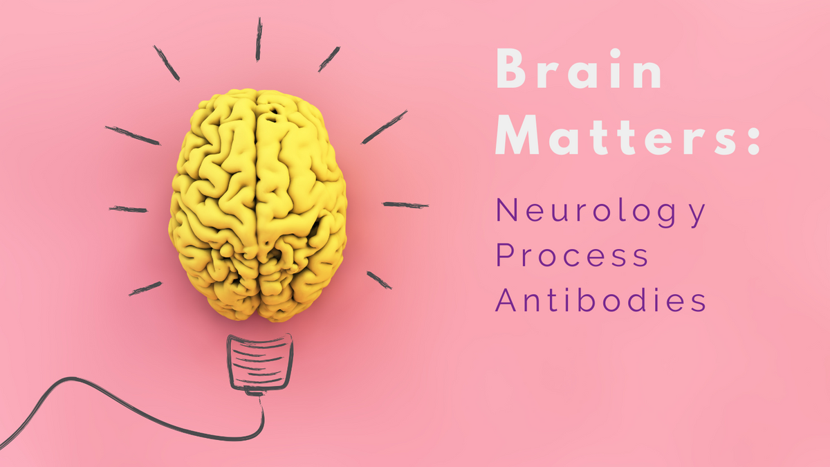 Navigating the Neural Maze: How Neurology Process Antibodies Illuminat – HUABIO