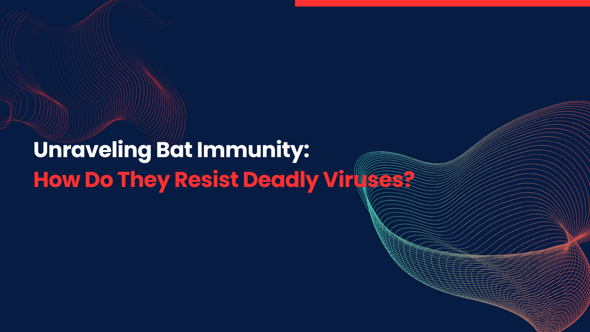 How Do Bats Resist Deadly Viruses? – HUABIO