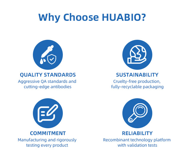 Anti-Human IgG(CH1 Fragment specific), AlpHcAbs® Goat antibody Alpaca – HUABIO